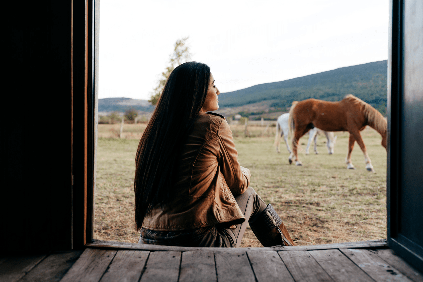 The Quiet Energy of the Ranch - Nicolette Shirley